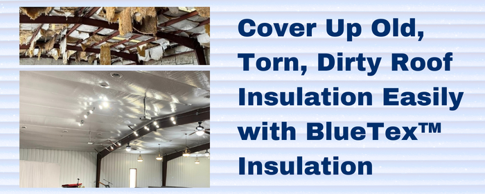 The BlueTex™ EasyClip™ System and The Roof Cover System for Repairing ...